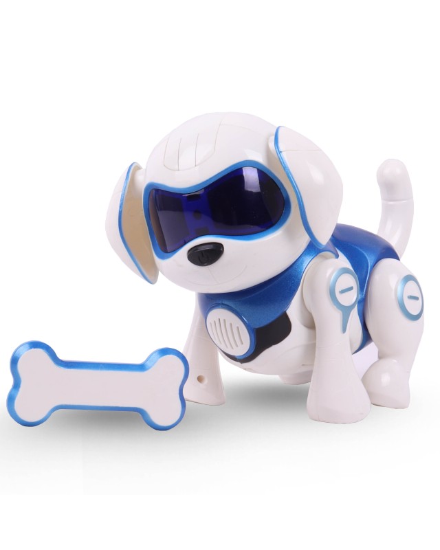COFFRET ROCK ROBOT DOG
